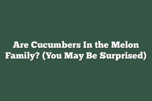 Are Cucumbers In the Melon Family? (You May Be Surprised) – vegpursuits.com