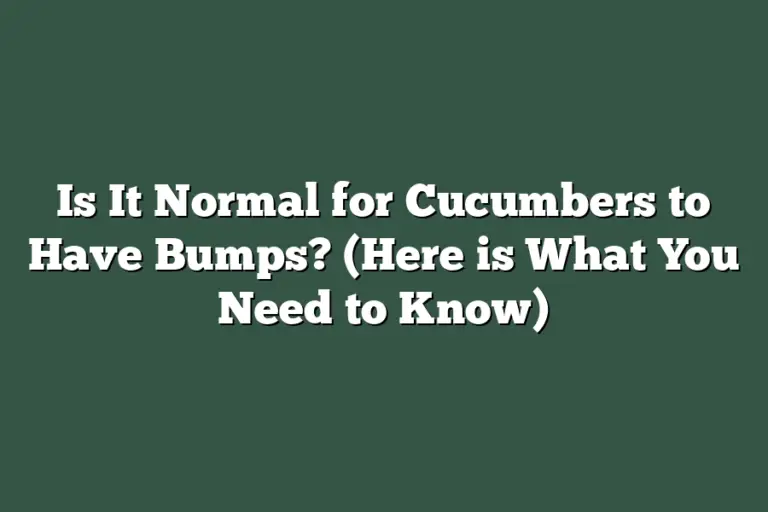 Is It Normal for Cucumbers to Have Bumps? (Here is What You Need to ...