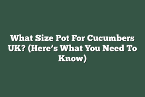 What Size Pot For Cucumbers UK? (Here’s What You Need To Know ...