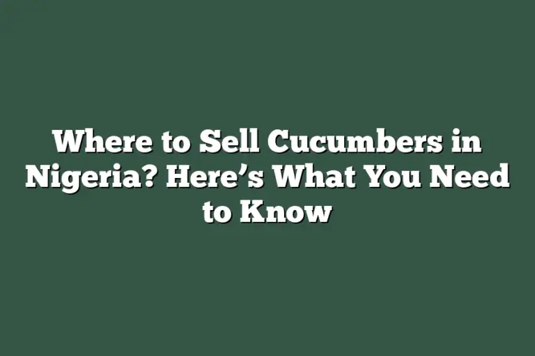 Where to Sell Cucumbers in Nigeria? Here’s What You Need to Know ...