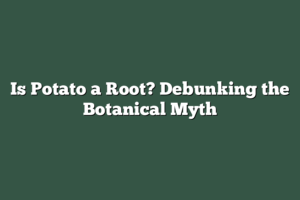 Is Potato a Root? Debunking the Botanical Myth – vegpursuits.com