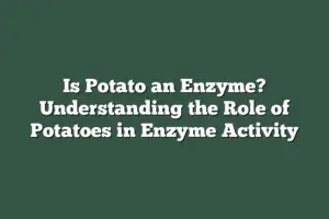 Is Potato an Enzyme? Understanding the Role of Potatoes in Enzyme ...