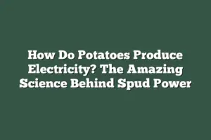 How Do Potatoes Produce Electricity? The Amazing Science Behind Spud ...